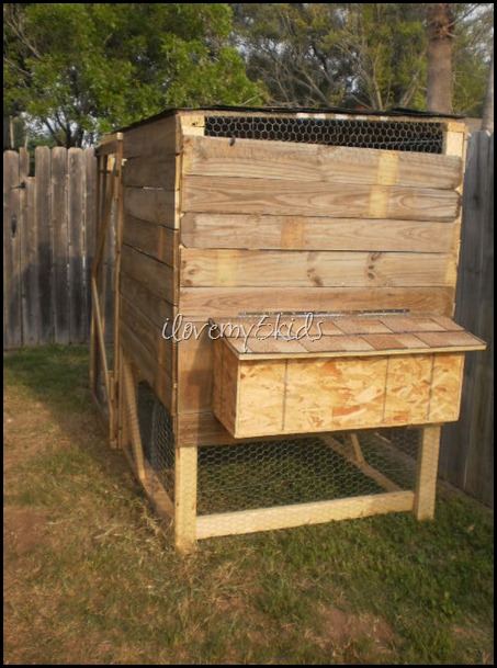 Fenced Chicken Pen